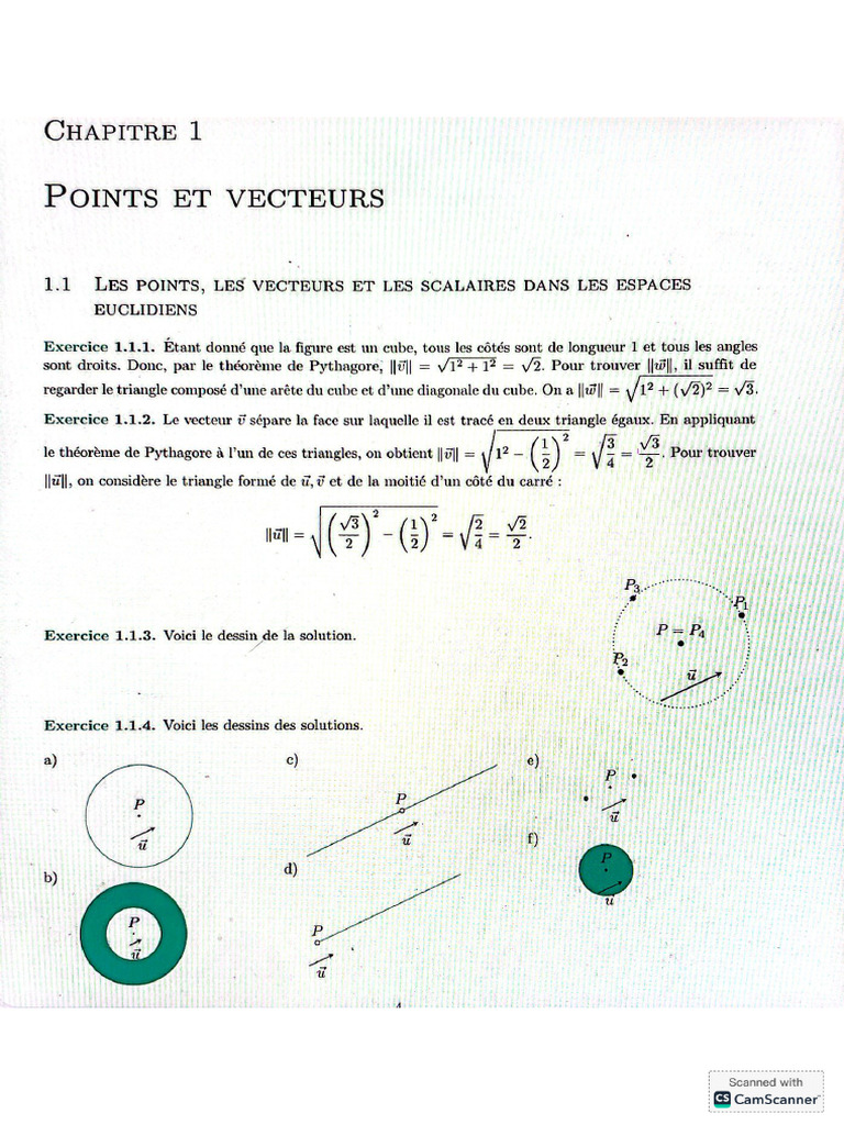 Solutionnaire Algebre Lineaire | PDF