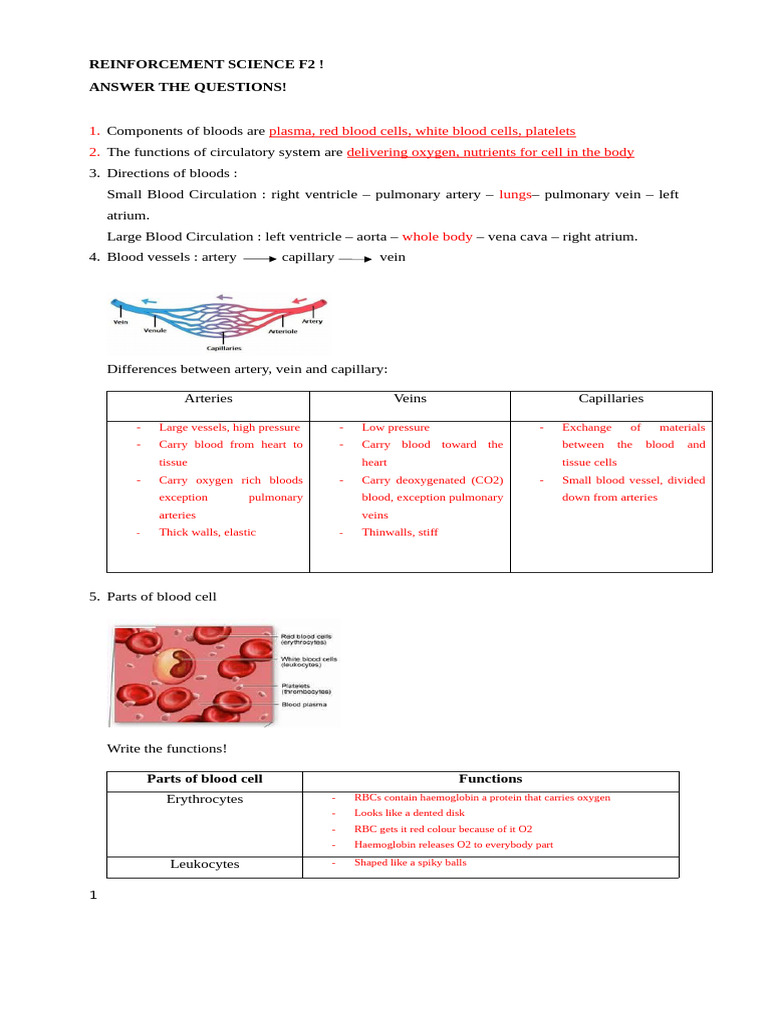 Key Answer reinforcement science almer for my lovely beloved bonyet ...