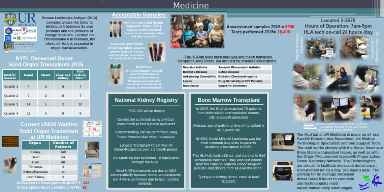 HLA Final Poster | PDF | Kidney Transplantation | Human Leukocyte Antigen