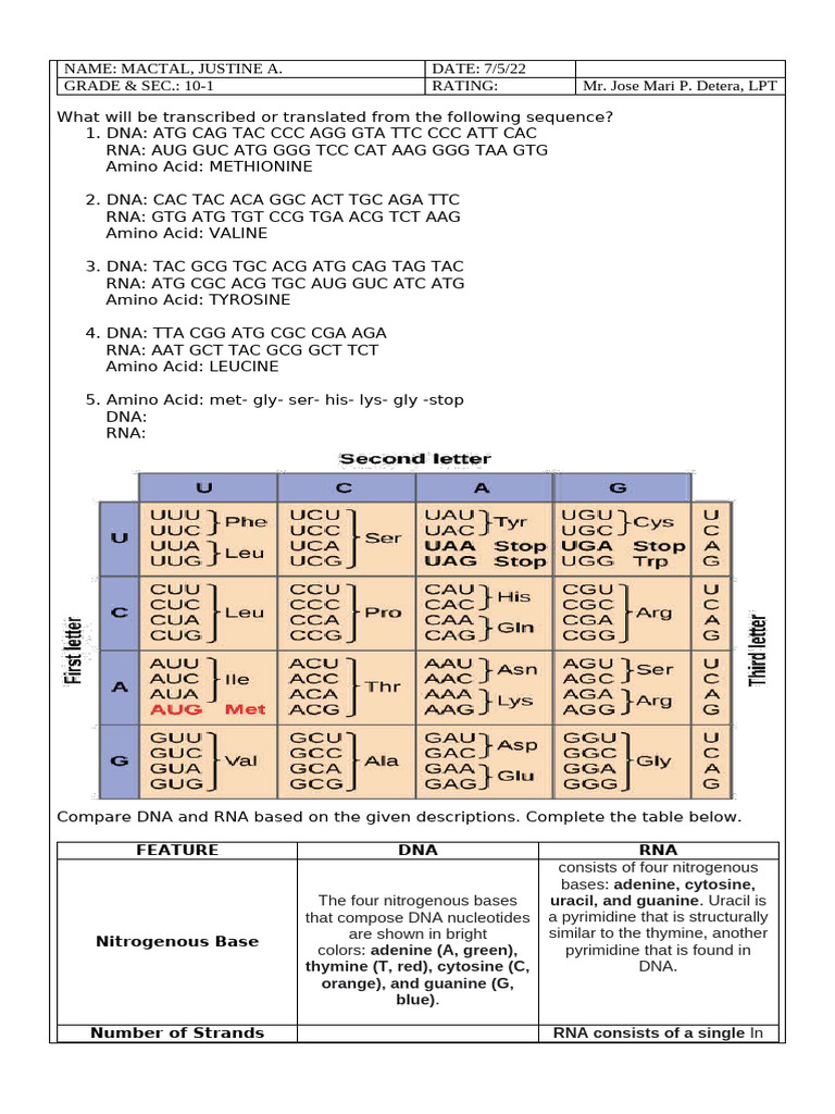 Mactal Checkpoint6 Scienceq3 | PDF | Dna | Mutation