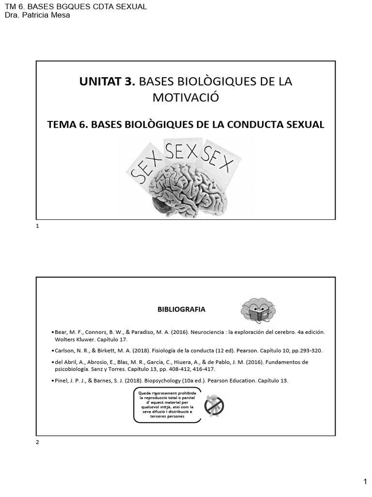 TM 6 Cdta Sexual 2024 Val - Av | PDF