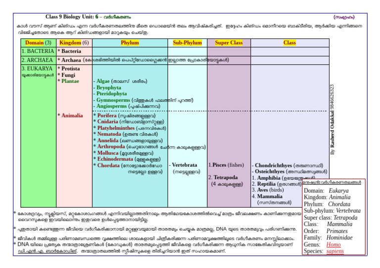 Mindmap-Class 9 Biology Unit 6 Mal Med | PDF