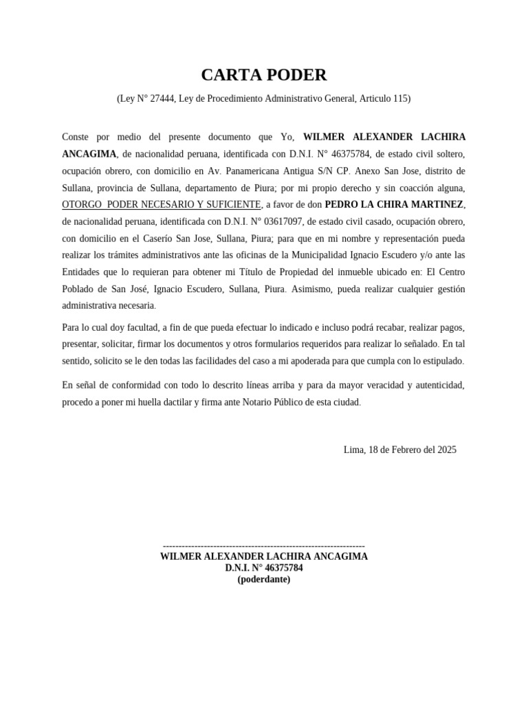 Carta Poder Modelo | PDF