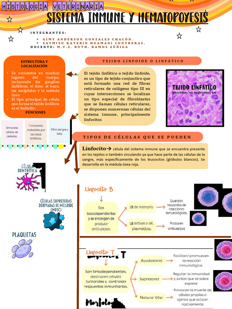 Resumen de SISTEMA INMUNE Y HEMATOPOYESIS | PDF | Hematopoyesis | Linfocitos