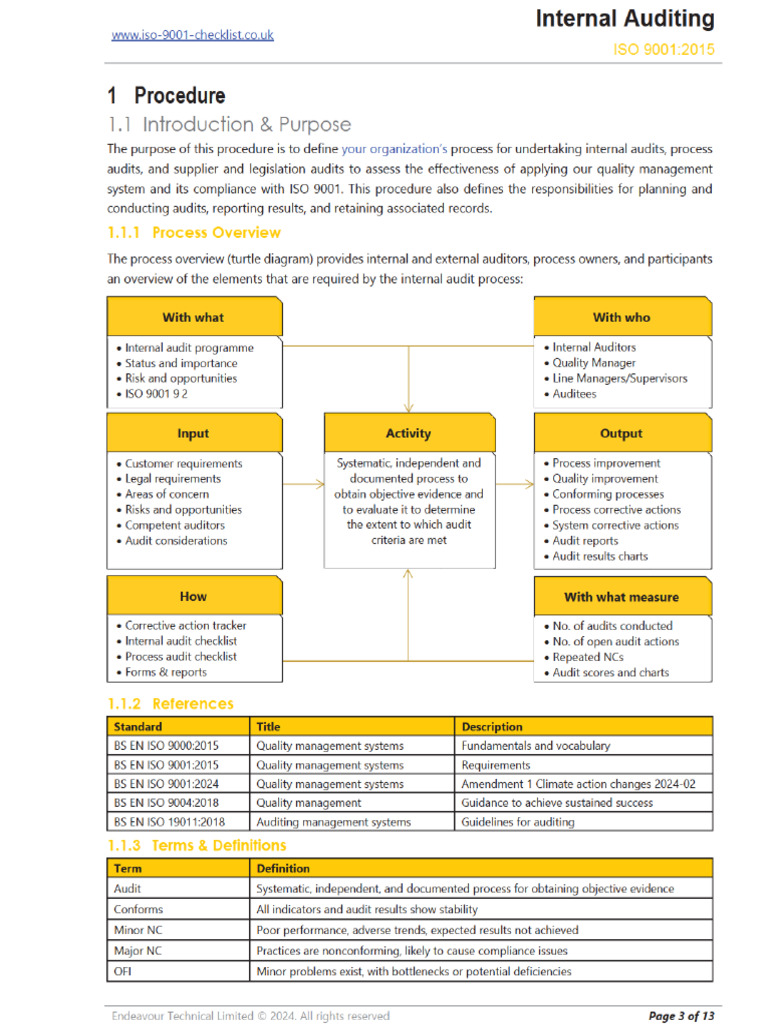 Roles & Responsibilities For Audit Programme | PDF
