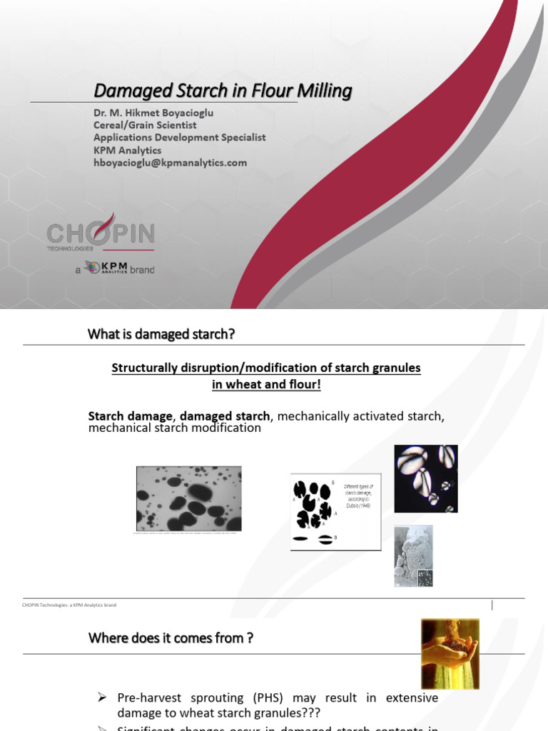 IAOM-Damaged Starch in Flour milling-Boyacioglu-July 2021-Final | PDF ...