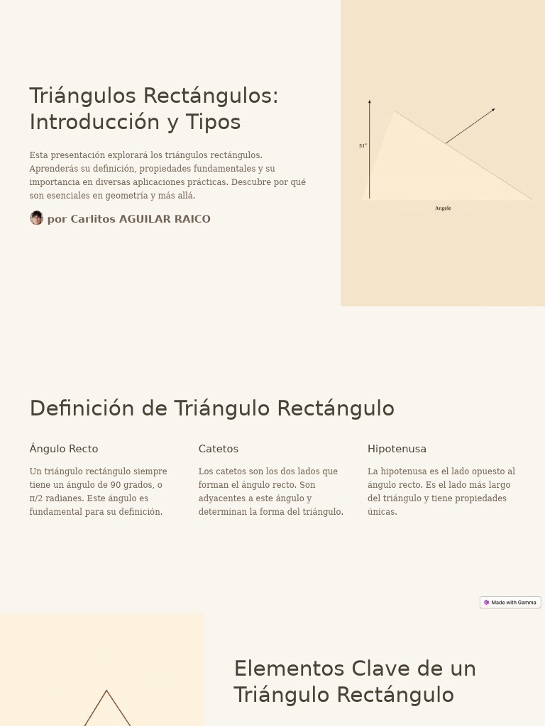 Triángulos Rectángulos: Definición y Tipos | PDF | Triángulo | Rectángulo