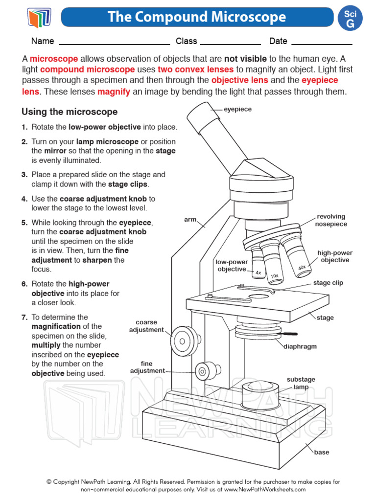 Activity Lesson Science Grade 7 The World of Life Science 1 The ...