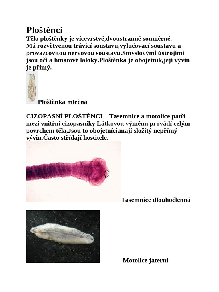 Ploštěnci | PDF