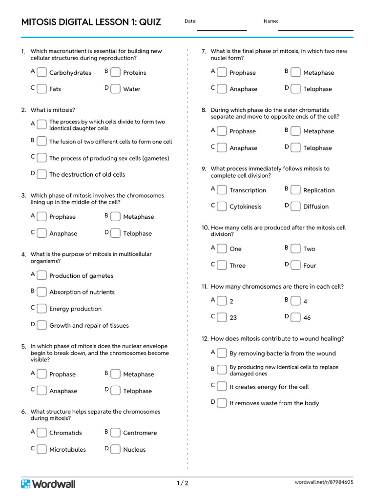 Mitosis Quiz: Cell Division Stages | PDF | Mitosis | Cell (Biology)