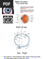 Photopic, Mesopic, and Scotopic Vision | PDF | Contrast (Vision ...