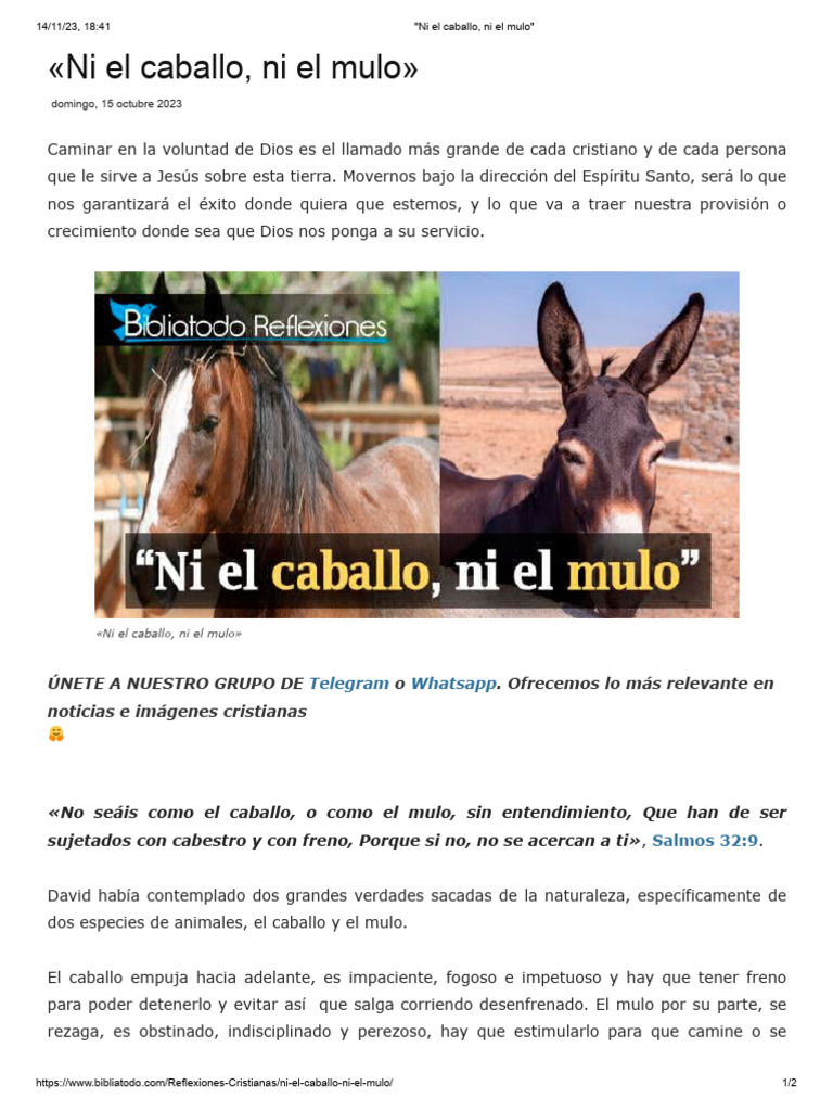 Ni El Caballo, Ni El Mulo | PDF