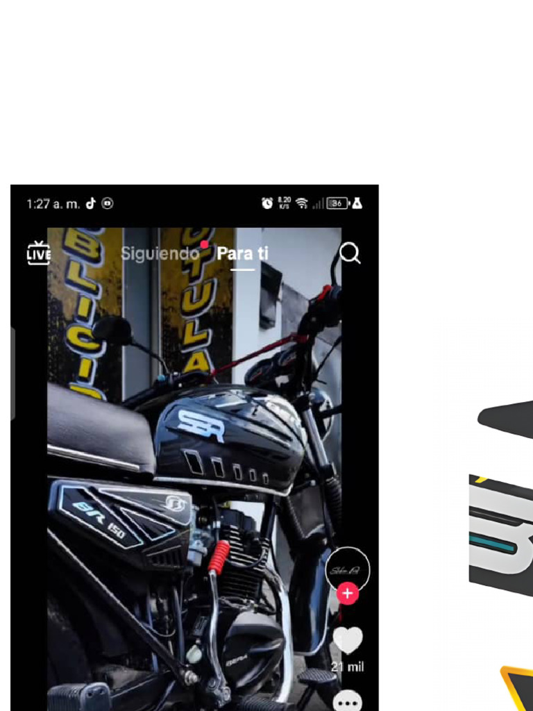 Plantilla SBR 2024-1 | PDF