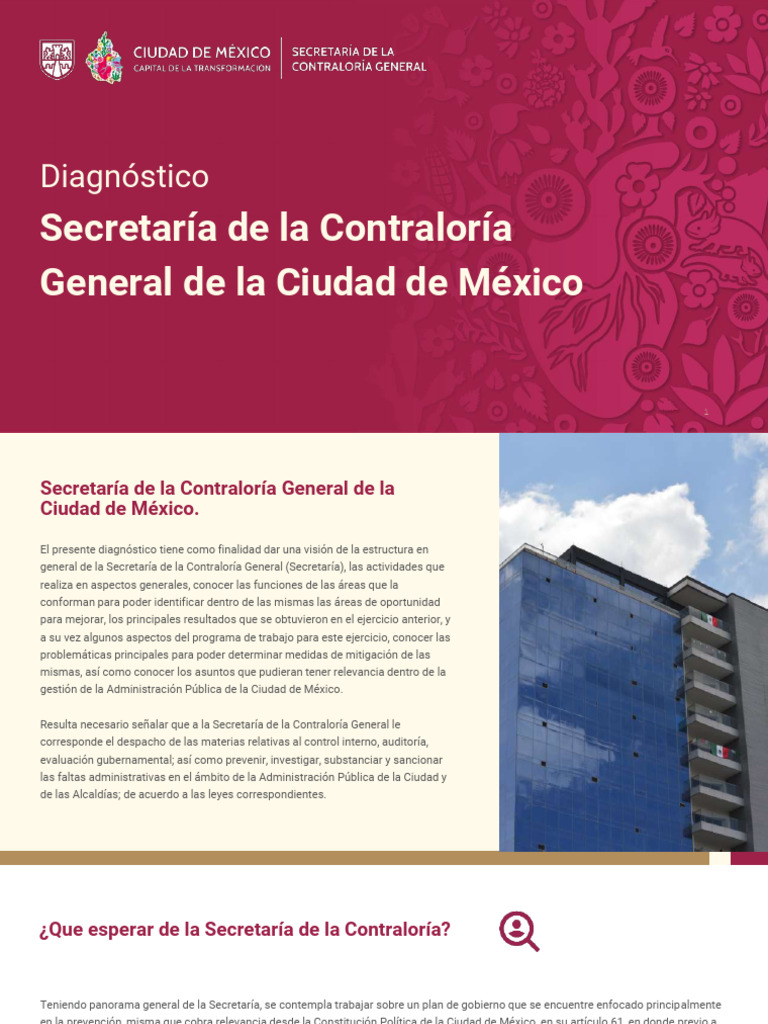 Diagnóstico | PDF | Presupuesto | Auditoría