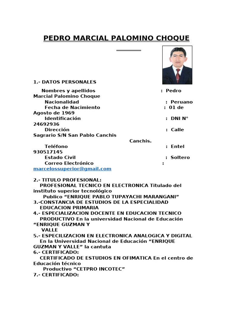 Curriculum Vitae Pedro Marcial Palomino Choque Original | PDF