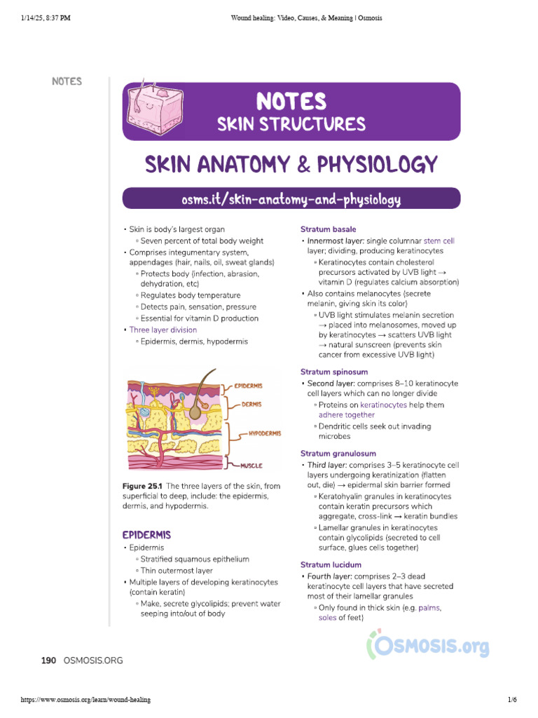 Wound Healing: Causes & Video Guide | PDF