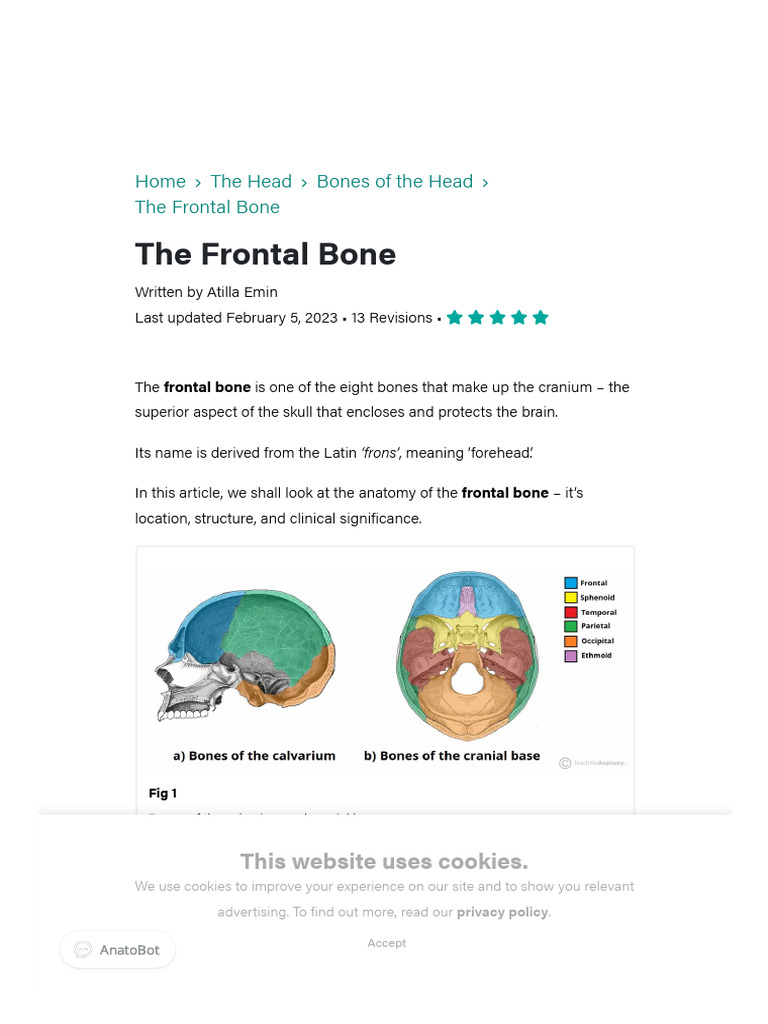 The Frontal Bone - Landmarks - Articulations - TeachMeAnatomy | PDF ...
