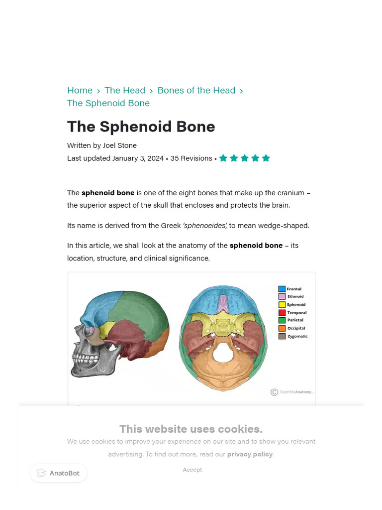 Sphenoid Bone - Location - Structure - Function - TeachMeAnatomy | PDF | Human Head And Neck ...