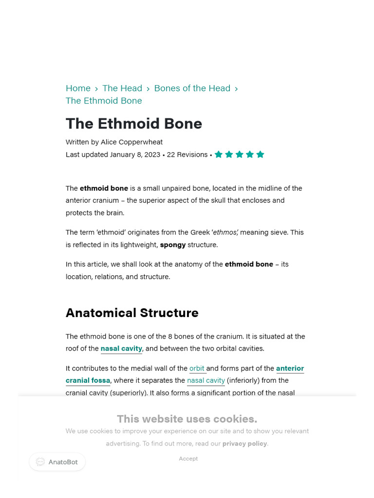 Ethmoid Bone - Location - Structure - Relationships - TeachMeAnatomy | PDF | Human Nose | Human ...