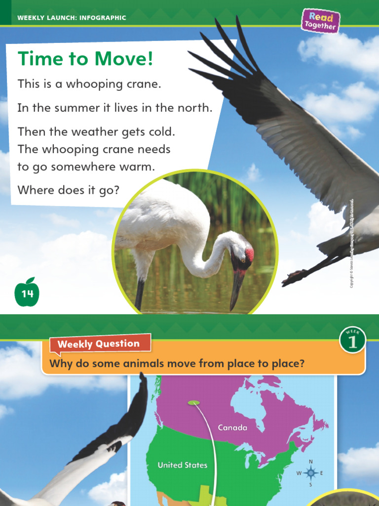 Student Interactive U2 Week 1 | PDF | Phonics | Reading Comprehension