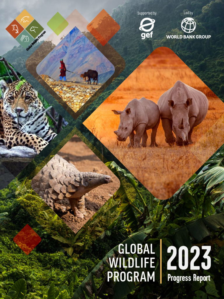 GWP 2023 Progress Report 2024 | PDF | Global Environment Facility | Conservation Biology