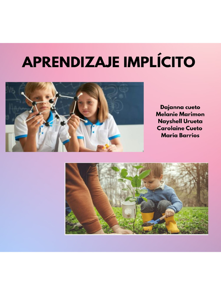 Aprendizaje Implicito | PDF