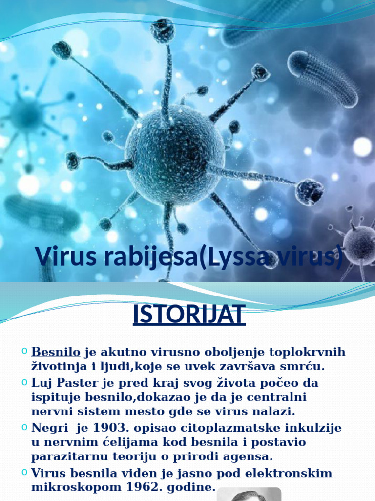Virus Rabijesa (Lyssa Virus) | PDF