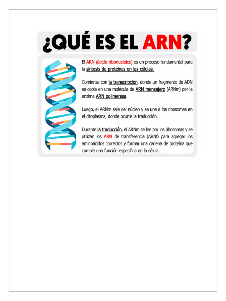 ARN | PDF