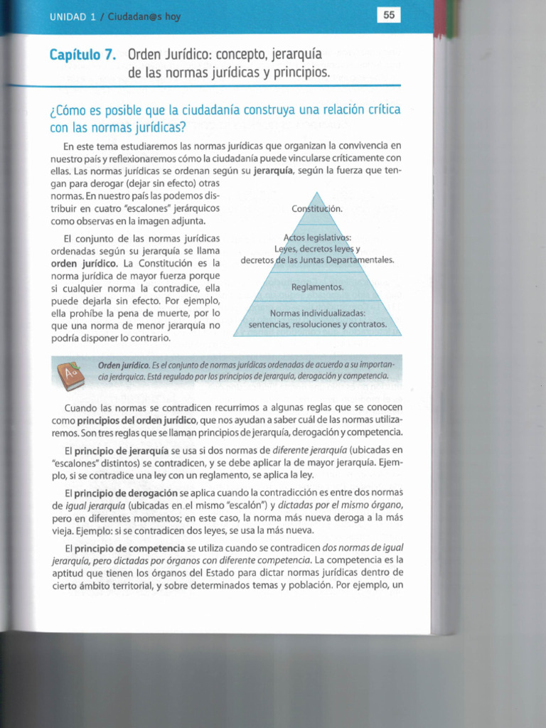 Orden Jurídico Cap Libro | PDF