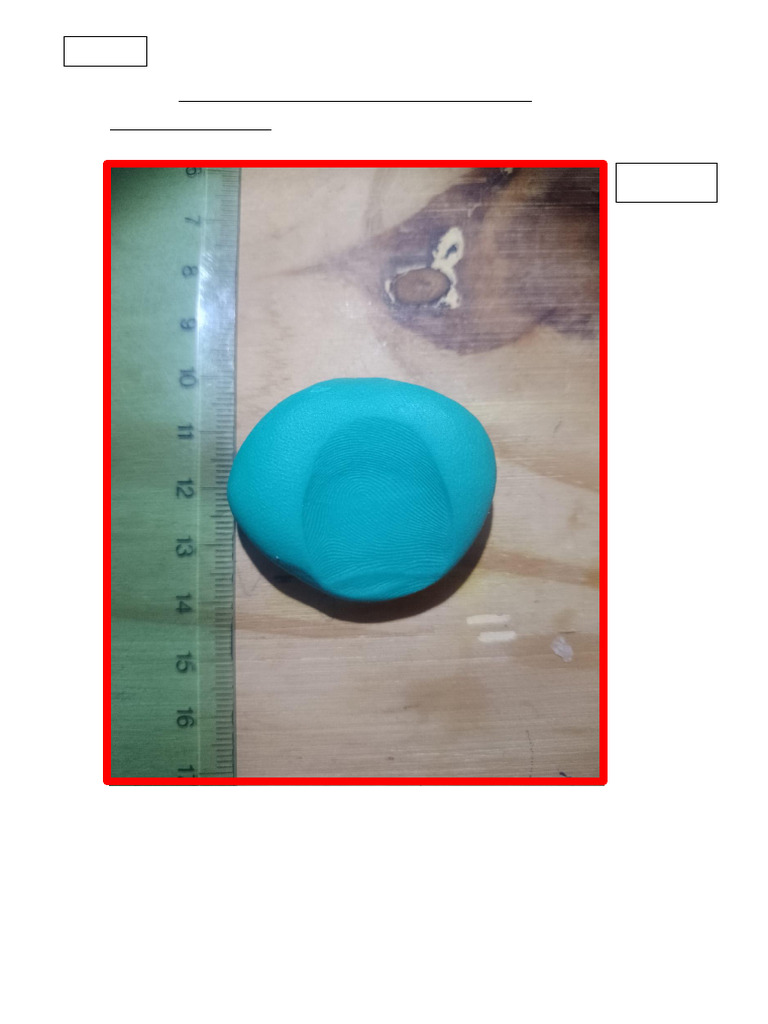 pericia 6 anexo - Hirschfeld | PDF | Huella dactilar | Control de acceso