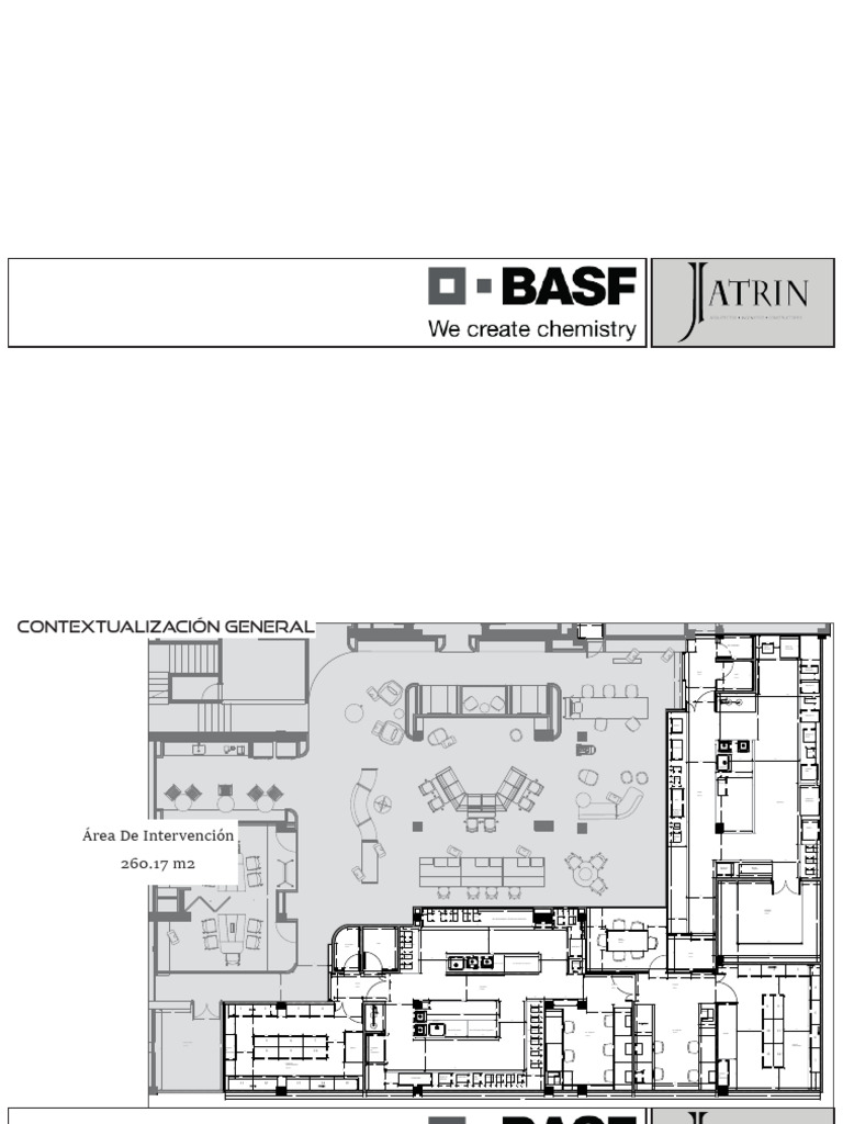 Presentación Proyecto Lab. Basf | PDF