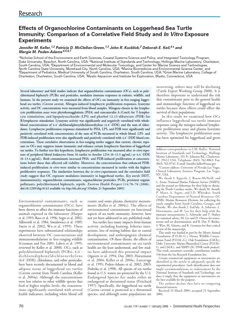 Effects of Organochlorine Contaminants On Loggerhead Sea Turtle ...