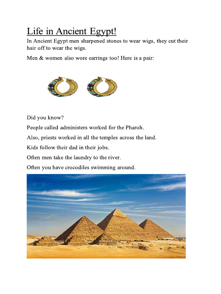 Logans Homework | PDF