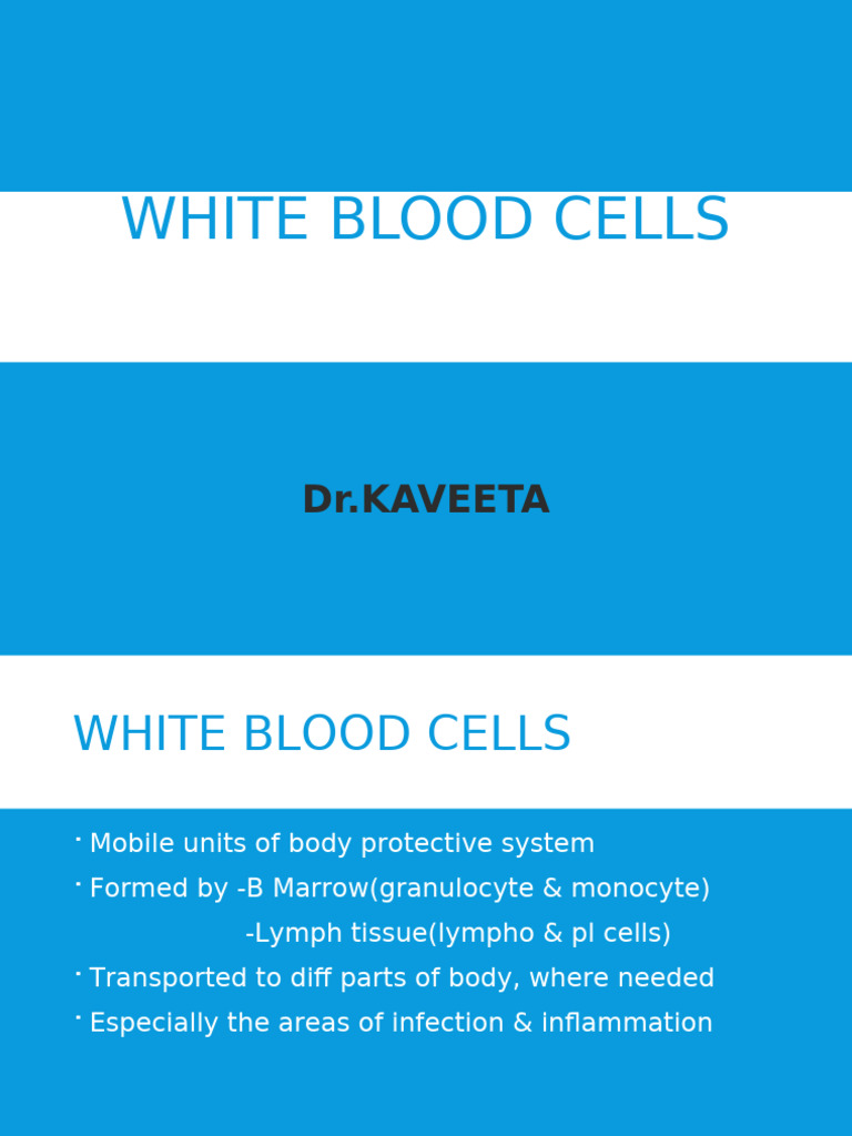 White Blood Cells Genesis | PDF