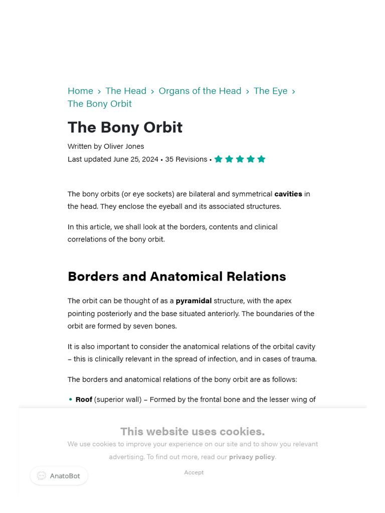 Anatomy of the Bony Orbit Explained | PDF | Human Head And Neck ...