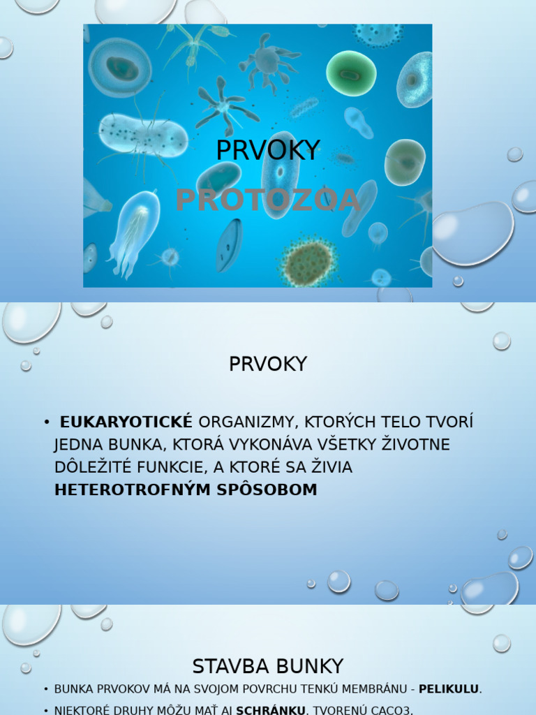 7 Prvoky | PDF