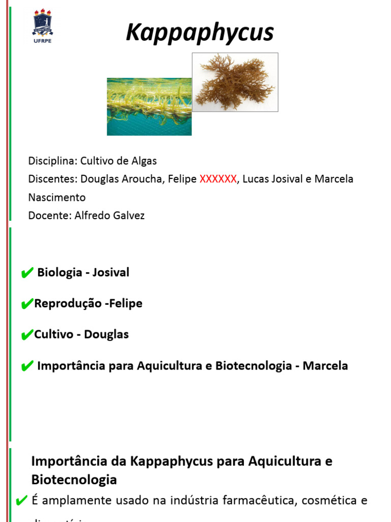 Cultivo e Importância do Kappaphycus | PDF
