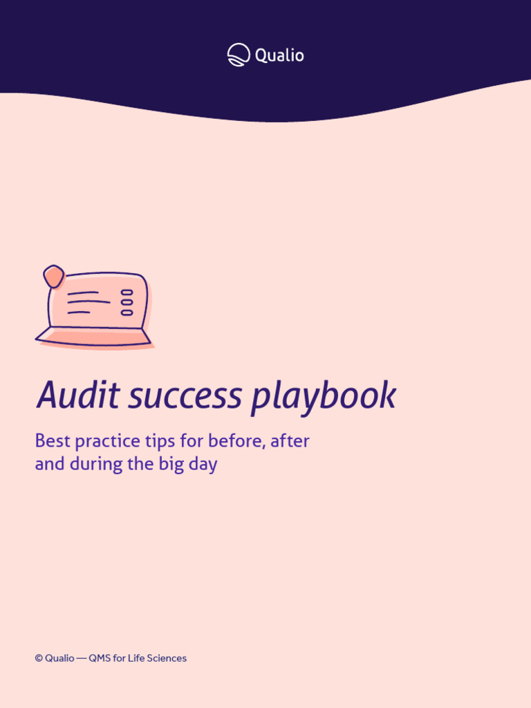 Audit Success Playbook | PDF | Audit | Internal Audit