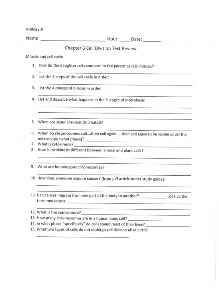 BIO A - Chapter 6 Review WS | PDF | Meiosis | Mitosis
