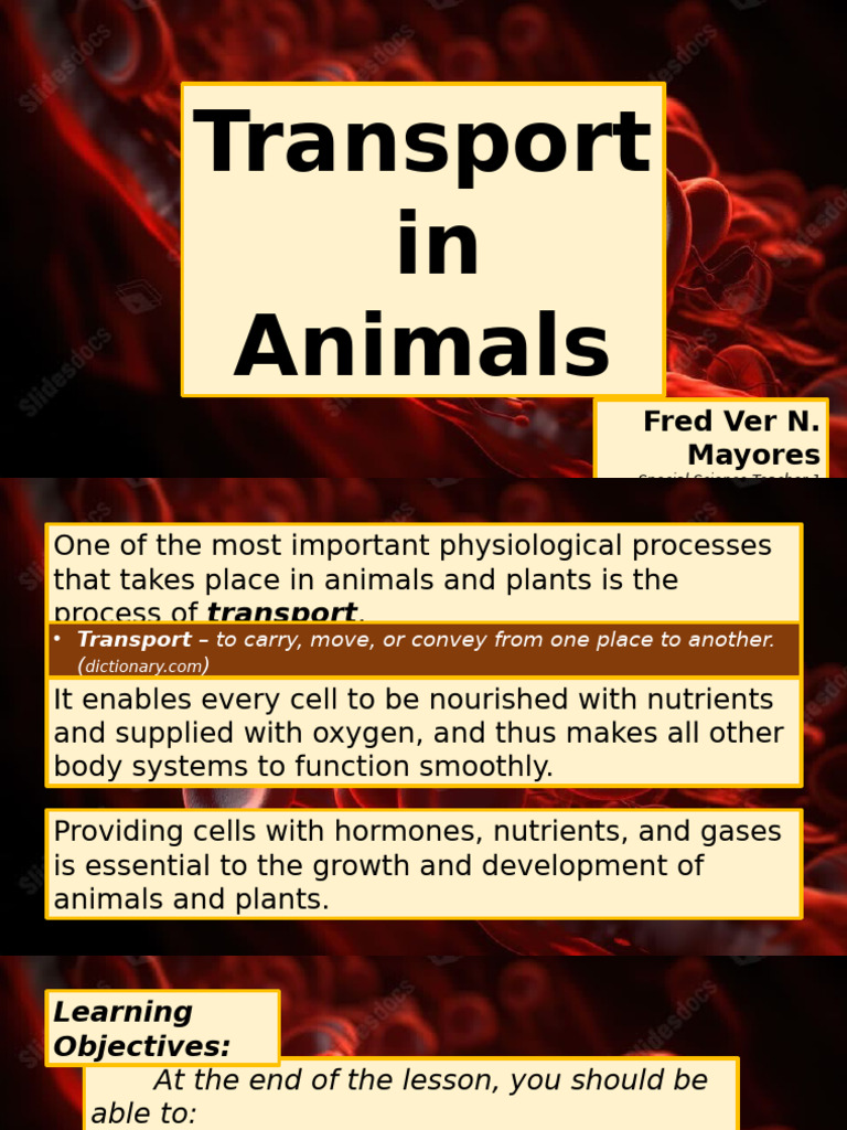 Understanding Animal Transport Systems | PDF | Heart | Circulatory System