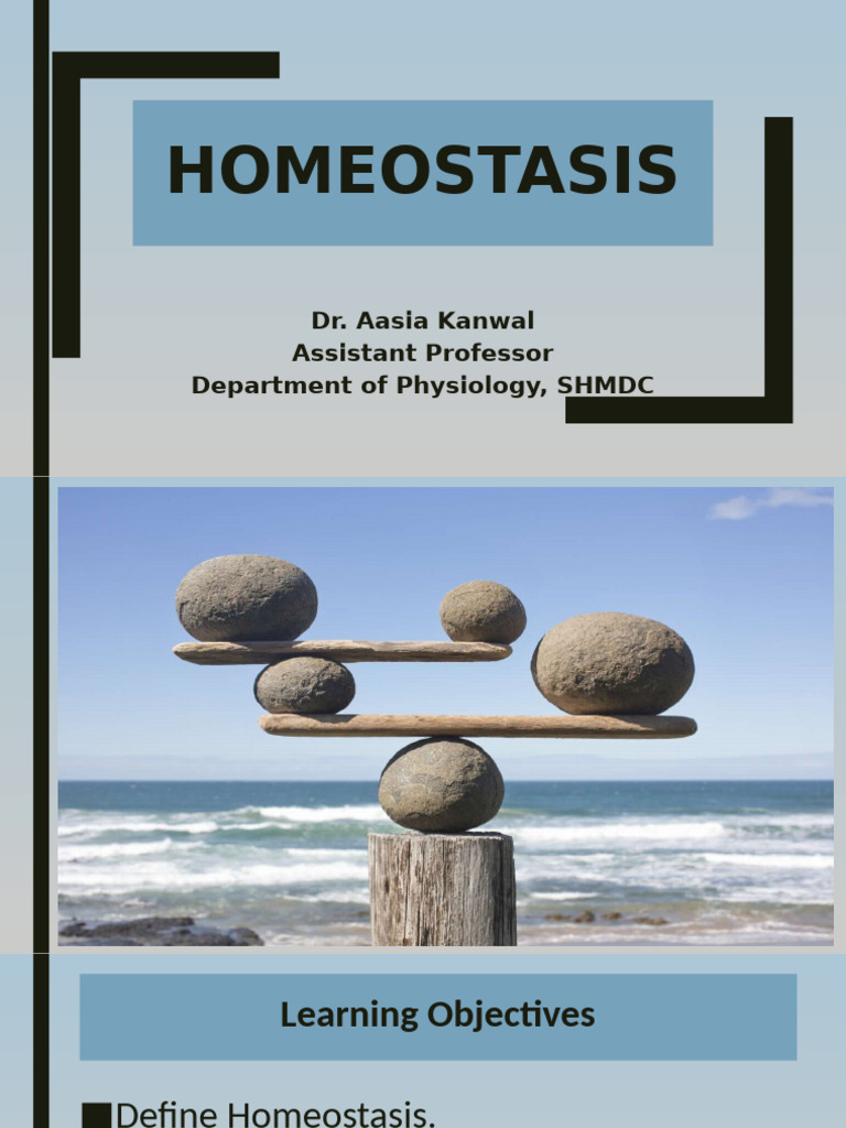 Homeostasis i 2024 | PDF | Human Body | Homeostasis