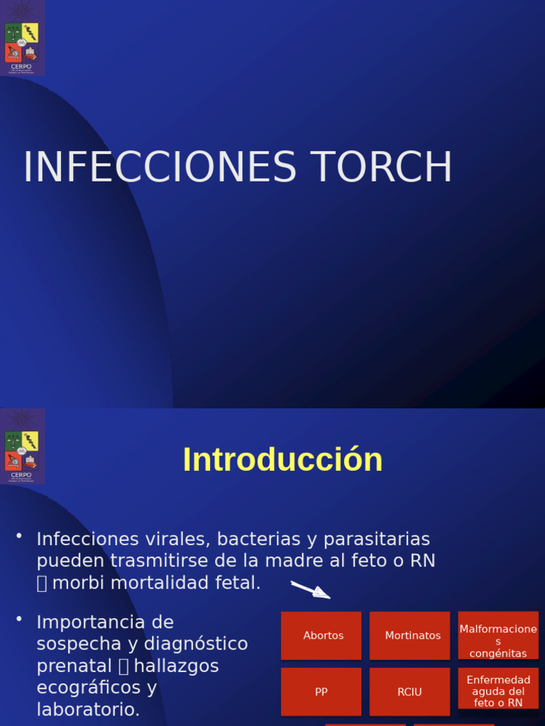 Torch y Embarazo 2 | PDF | Inmunología | Especialidades Medicas