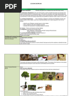 Plants and Animals in Their Habitat (GRADE 4) Lesson Plan | PDF ...