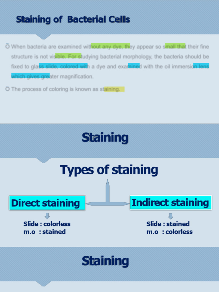 lab_3_general_micro_practical_-_staining_and_simple_stain[1] | PDF | Staining | Dye