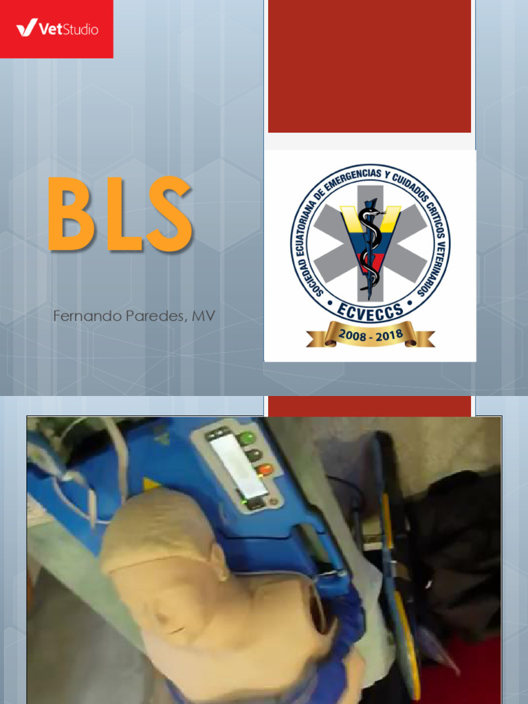 BLS | PDF