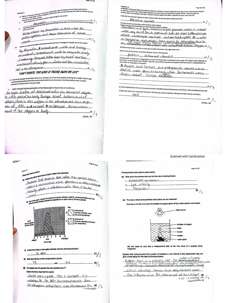 Eshal Khan SWK Johar | PDF