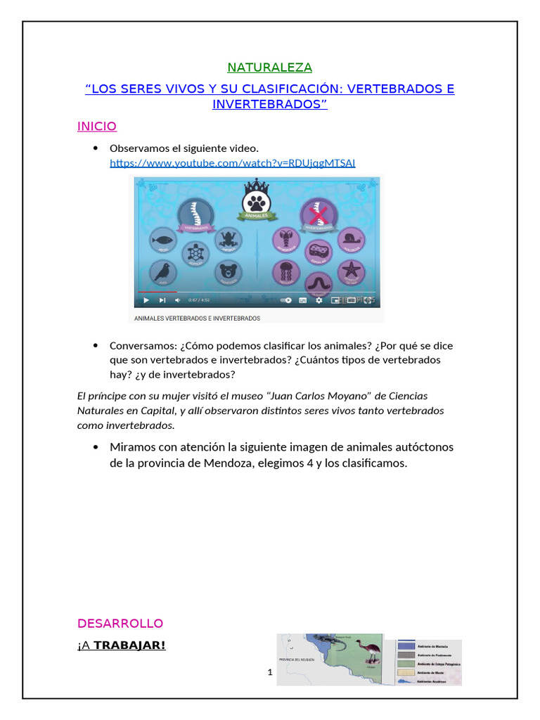 Clasificación de Animales: Vertebrados e Invertebrados | PDF ...