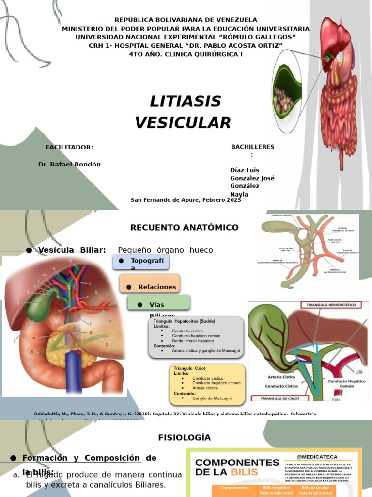 Seminario Litiasis Vesícular | PDF | Vesícula biliar | Bilis