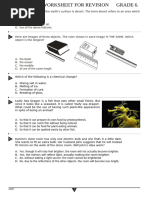 Nso Sample Paper Class-7 2025-26 | PDF