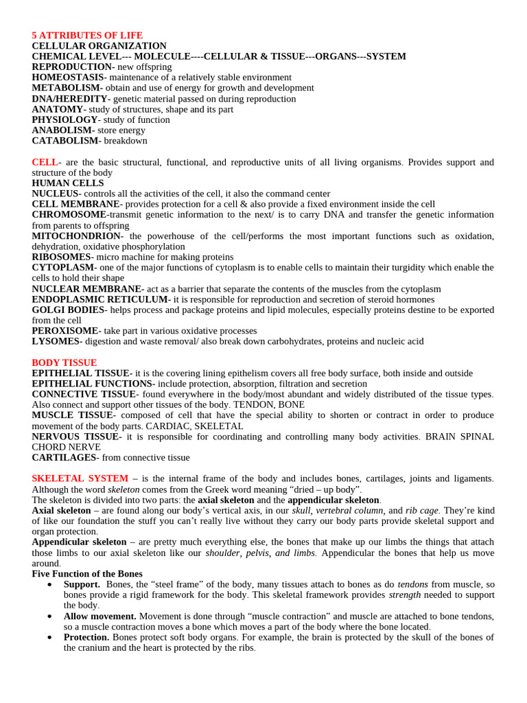 Anatomy Physiology Reviewer | PDF | Vertebra | Vertebral Column